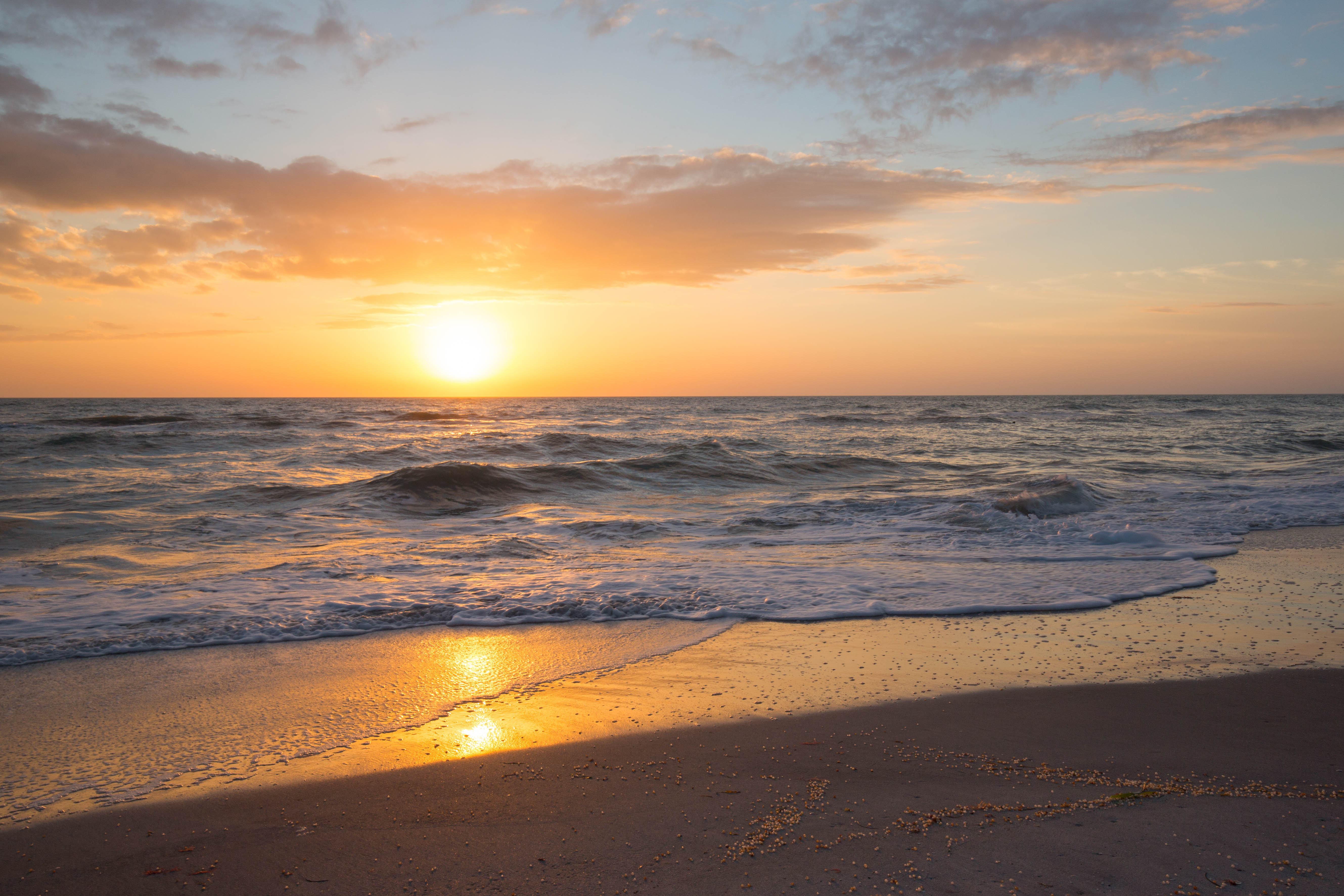 Quiet Island Escape – The Sandy Swan
